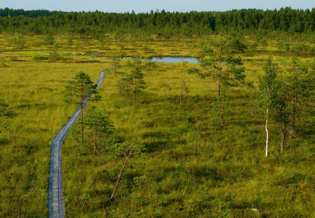 taust-raba-s1.jpg – Reimani